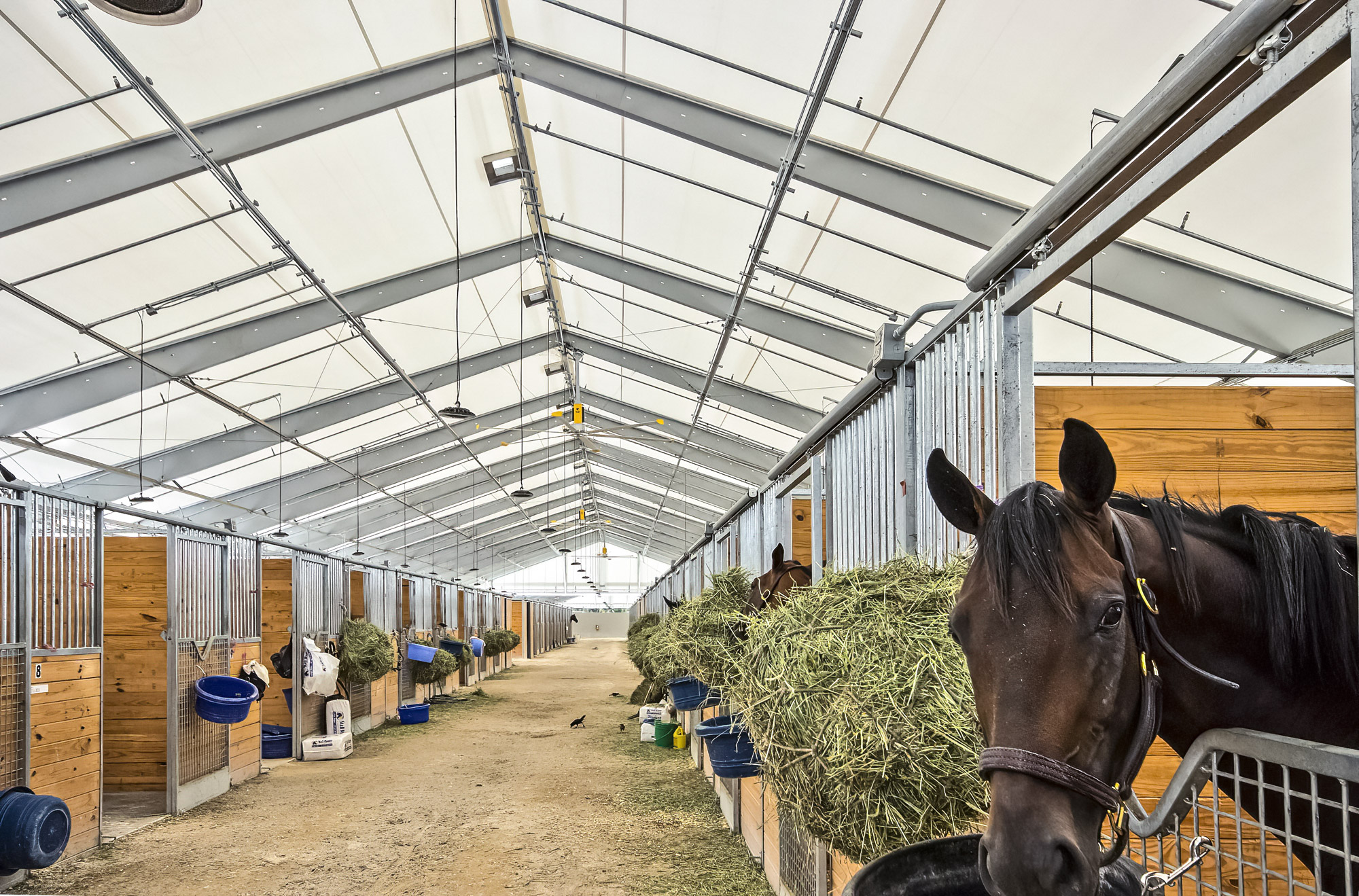 Fabric & Coverall Buildings Cost from Legacy Building Solutions